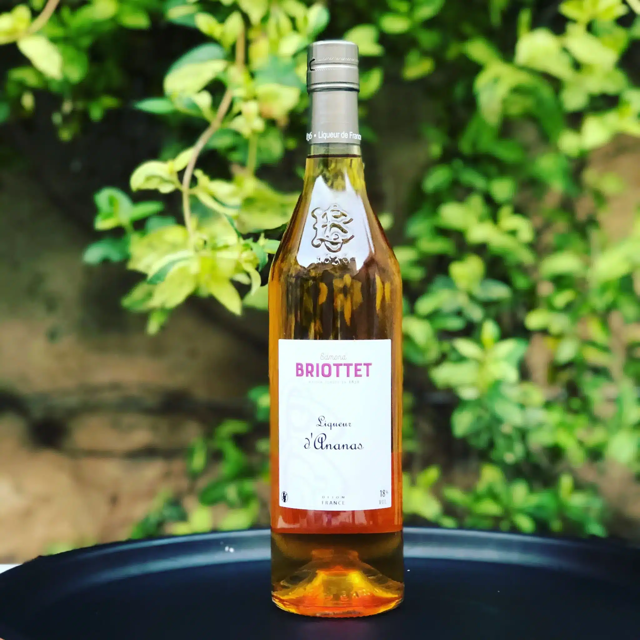 Discover the Briottet novelty : the Pineapple Liqueur